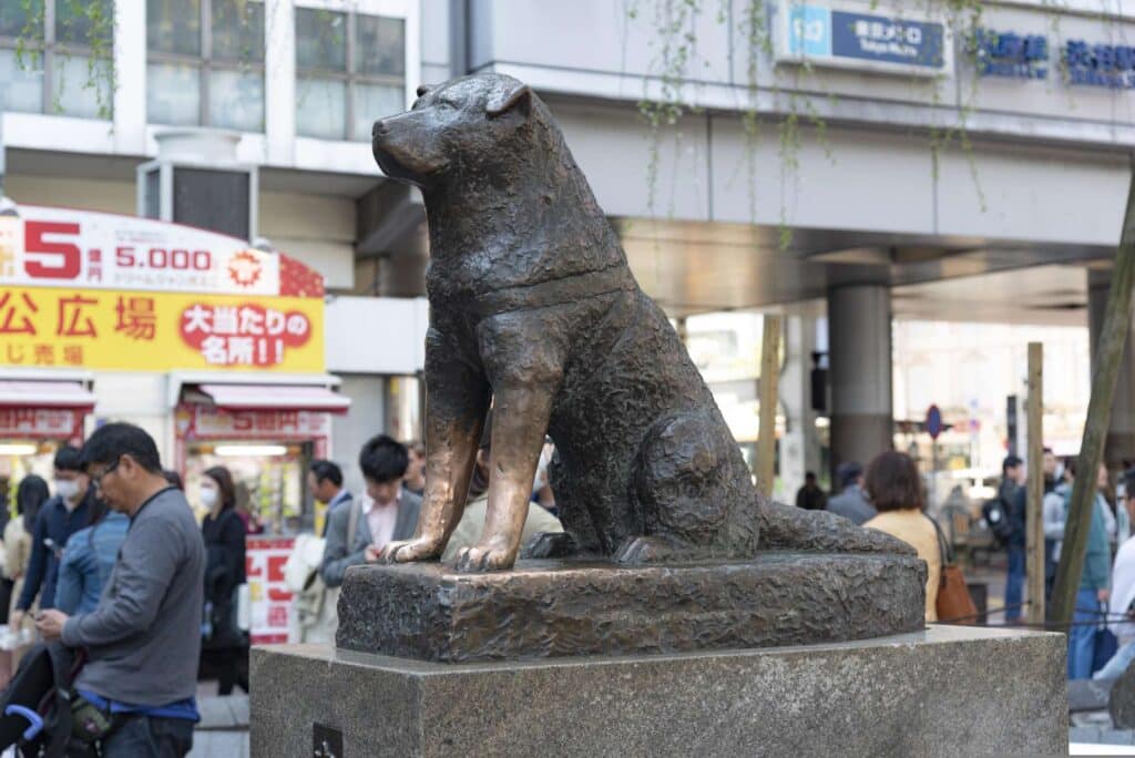 The story of Hachiko the dog: Japan’s most famous canine – Japan at Hand